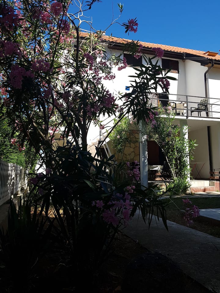 Apartman Naranča 1. - Nin