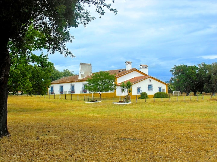 Charming Countryhouse T4 With Private Pool - Cabeço de Vide