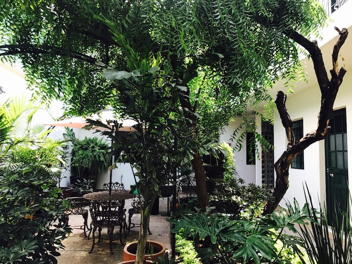 Casa Ghilardi Estudio Xapiri (#3) - Guadalajara