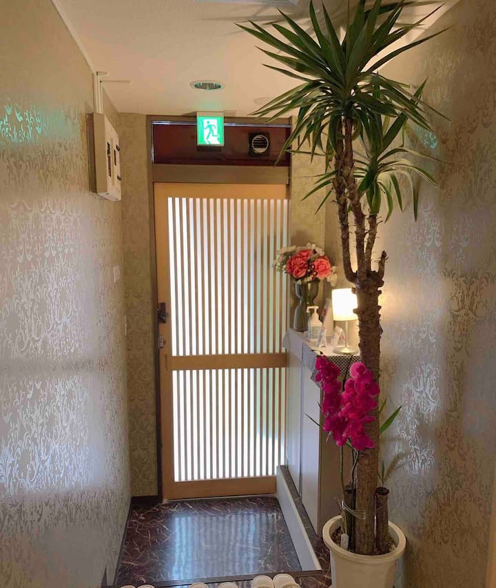 上野秋葉原温馨Share-house,房间有锁可寄存行李,免费wi-fi,附近大量餐厅购物出行方便! - Asakusa