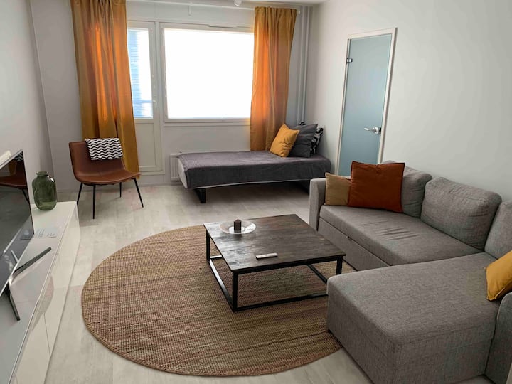 Valoisa Remontoitu Kaksio Lähellä Urheilupuistoa - Salo