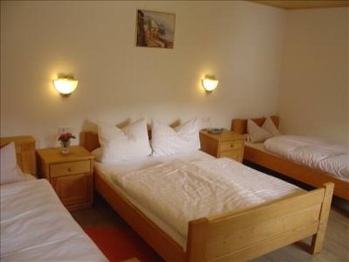 Pension Bergblick (Bayerisch Eisenstein), Ferienwohnung Schachten (Ca. 60qm) Mit Balkon Und Vollausgestatteter Küche Für 4 Personen - Lindberg