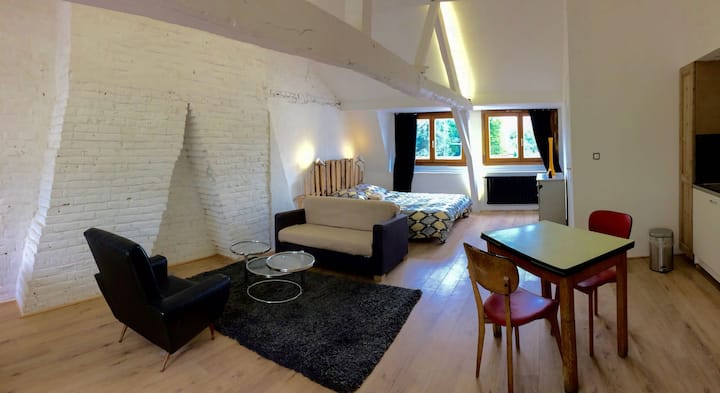 Appartement Très Lumineux Type Loft - Lille