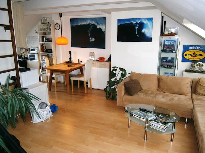 Cosy Penthouse North Munich - Munich
