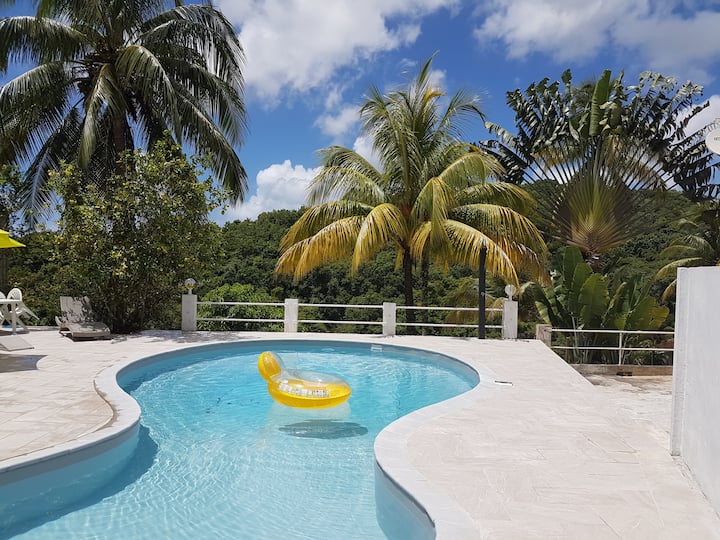 Vie En Milieu Tropical 2 - Fort-de-France
