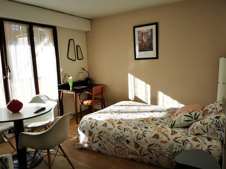 15 Mn De Paris Centre. Parking+balcon+vrai Lit - Maisons-Alfort
