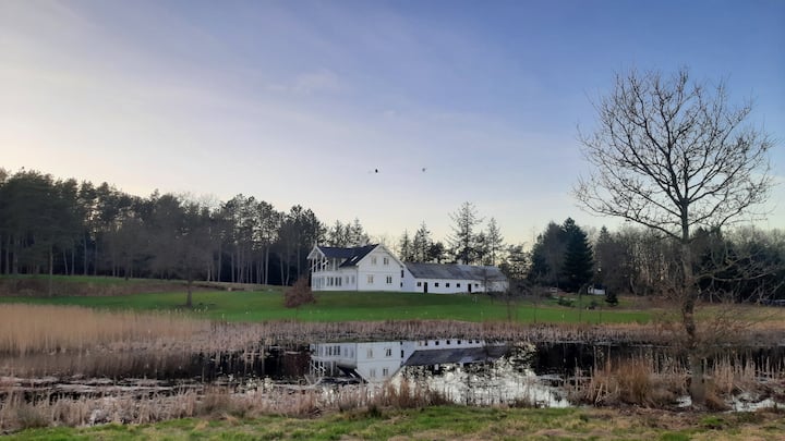 Gæstehus I Skoven - Danemark