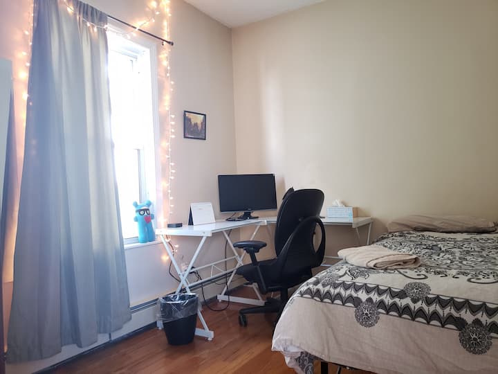 Convenient & Comfortable (3k) - Cambridge, MA