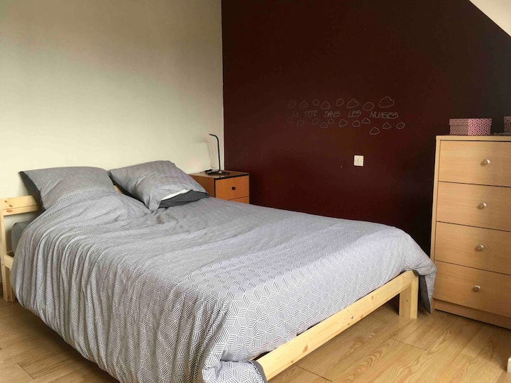 Grand Studio En Centre-ville, Lumineux Et Calme - Alençon