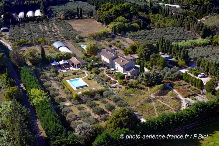 Alpilles Authentique  Mas Provençal Piscine 14 Per - Saint-Rémy-de-Provence
