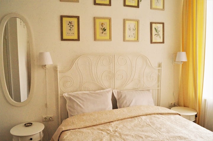 Daba Mini Hotel: Meadow  Room - Riga