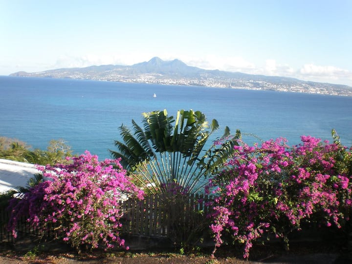 Les Papayers - Martinique