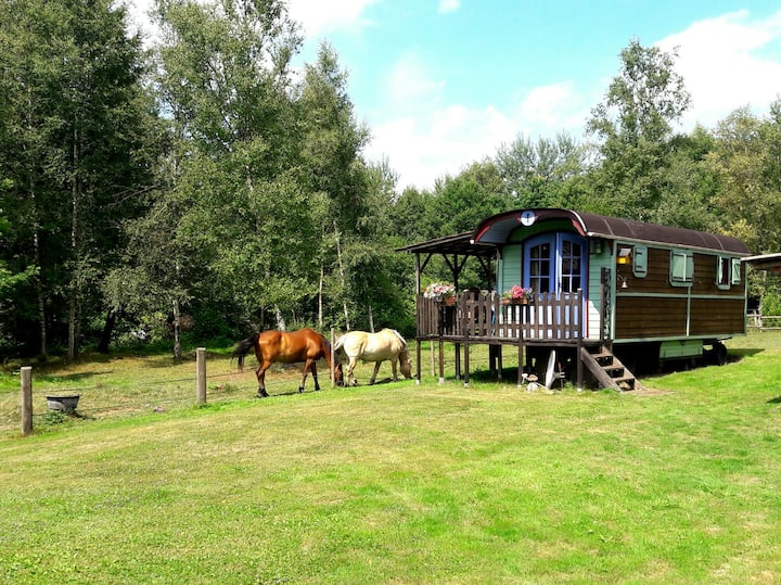 La Gypsy Roulotte Au Bord De La Rivière. - Baccarat