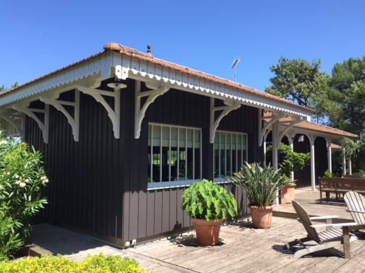 Villa De Standing Cap Ferret  Avec Piscine - Cap Ferret
