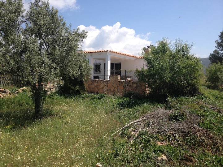 El Rinconcito - The Cozy Corner - Chulilla