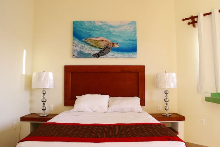 Turtle Studio 2 - Puerto Morelos