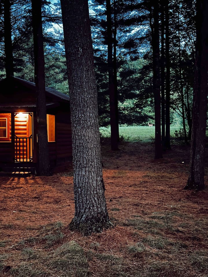 Private 56-acre Campground With Cozy Cabins - 파인