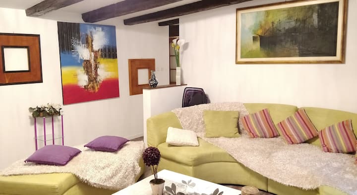 Appartement F3 Petite Venise - "Home Gallery" - Colmar
