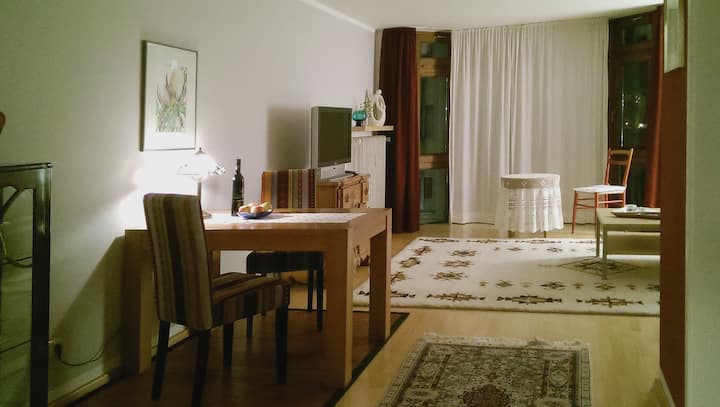 Living At Munich Viktualienmarkt - Munich