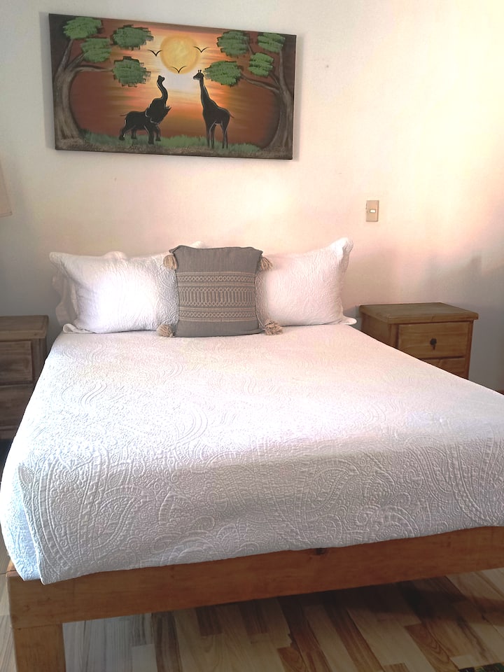 Don Cruz #5 - Sayulita