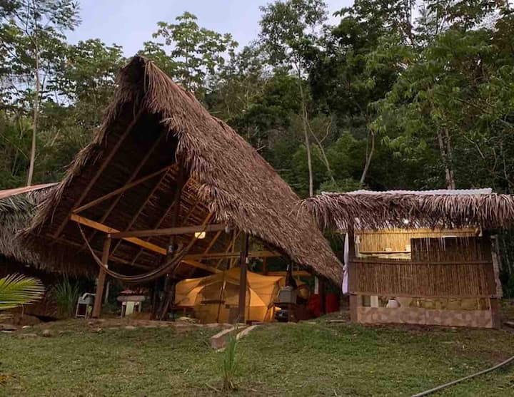 Inkatu Amazon Glamping - San Martín, Peru