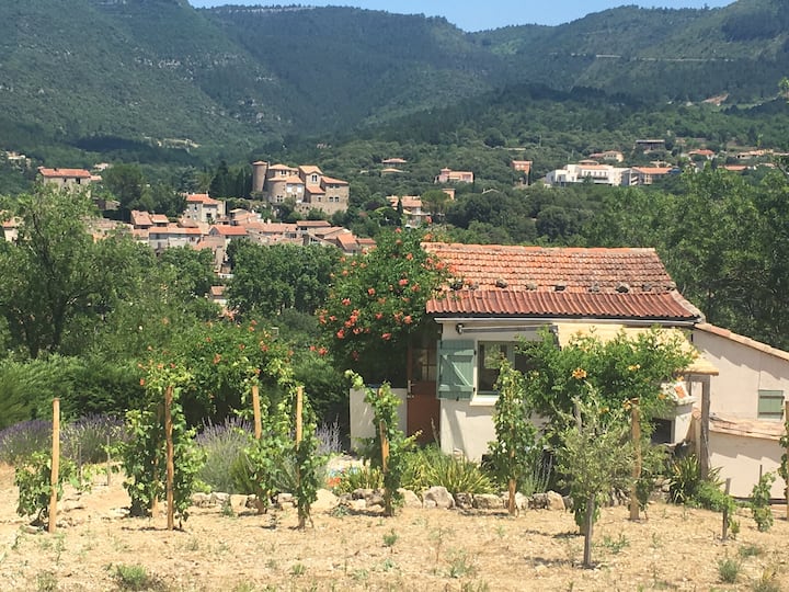 Secluded House In 2 Acre Olive Grove With Pool - Lodève