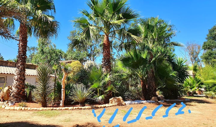 Emplacement De Camping Dans Un Cadre De Rêve - Agde
