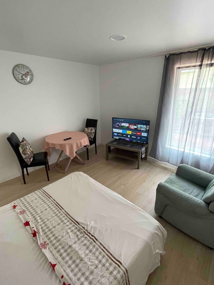 Grand Studio Pour 1 Ou 2 Personnes - Kehl