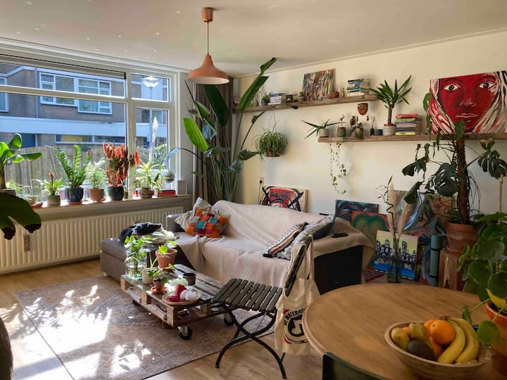 Planta Casa Reus - Amsterdam