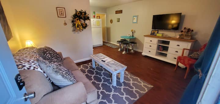So Cute!  So Fun! So Close To Everything! 1br/1ba - West Monroe, LA