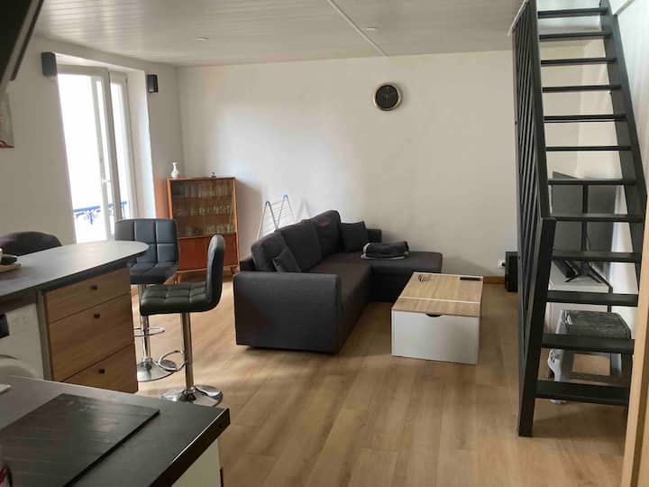 Duplex Rénové - Coeur De Ville - Lagny-sur-Marne