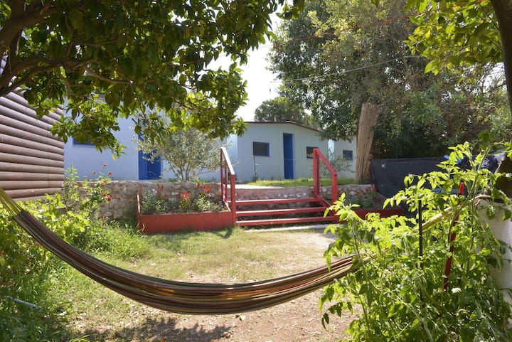 Turtle’s Glamorous Tiny House - Dhërmi