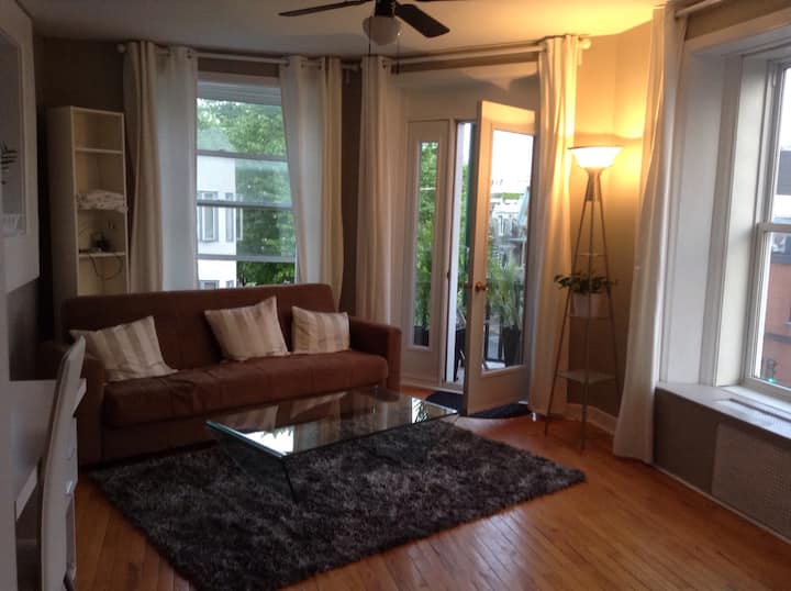 Beau Logement Ensoleillé - 2 Chambres - Montreal