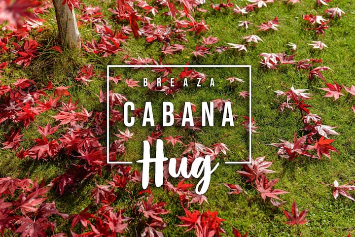 Cabana Hug - Comarnic