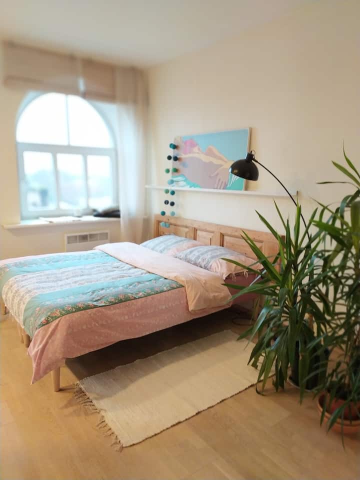 Cozy Studio In The Center Of Riga - Riga