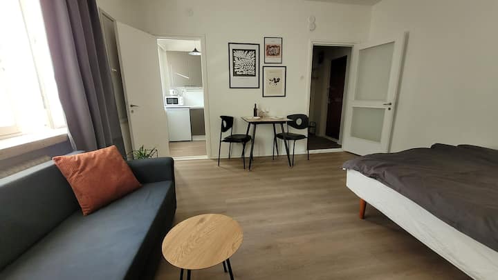 Mainio Yksiö Keskustassa - Jyväskylä