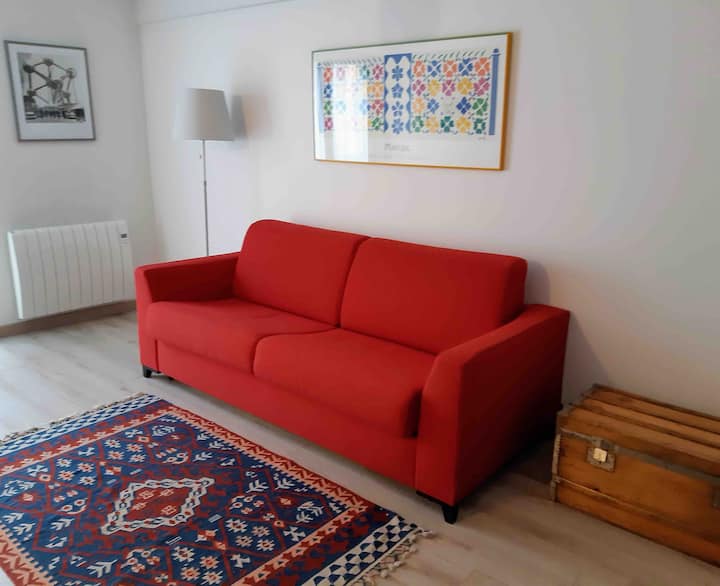 Chez Camille, 3 Pièces Au Coeur De Strasbourg - Strasbourg