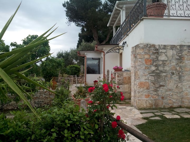 La Balconata 2 - Alberobello