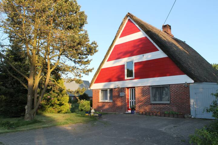 Reetdachkate In Elbnähe - Neuhaus (Oste)