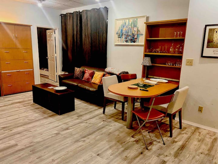 Cozy Condo In Downtown Minneapolis - Minneapolis, MN