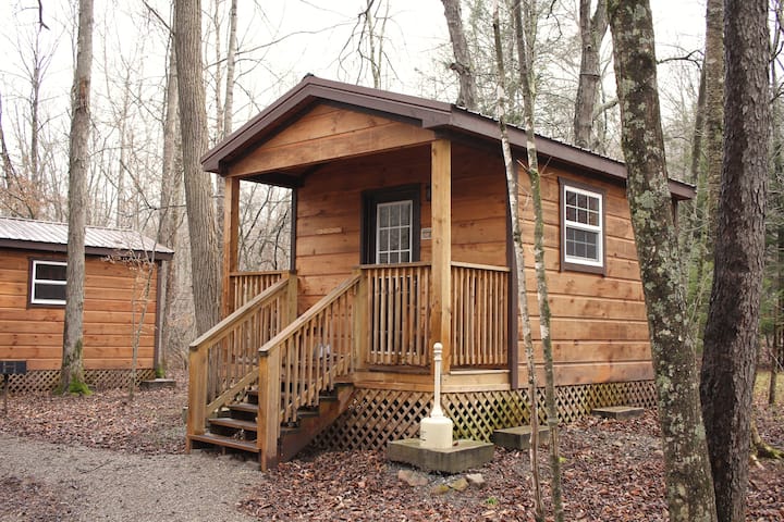 Hot Rod Mini Primitive Cabin - Kumbrabow State Forest, Huttonsville