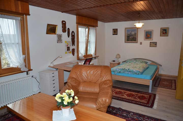 Favorable Studio 100m From Basel (358) - Bâle