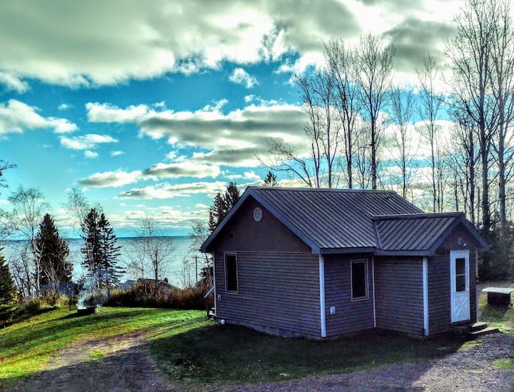 Scotch Pine:  Over The Big Lake, Near Grand Marais - Grand Marais, MN