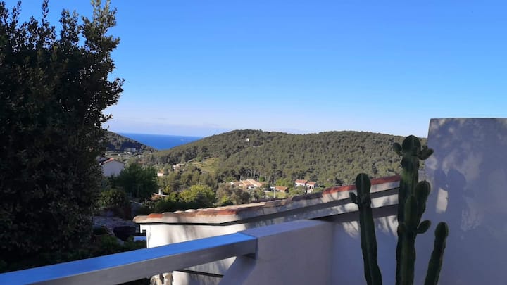 La Terrasse Du Vallon Avec Jardin Vue Mer - Carqueiranne