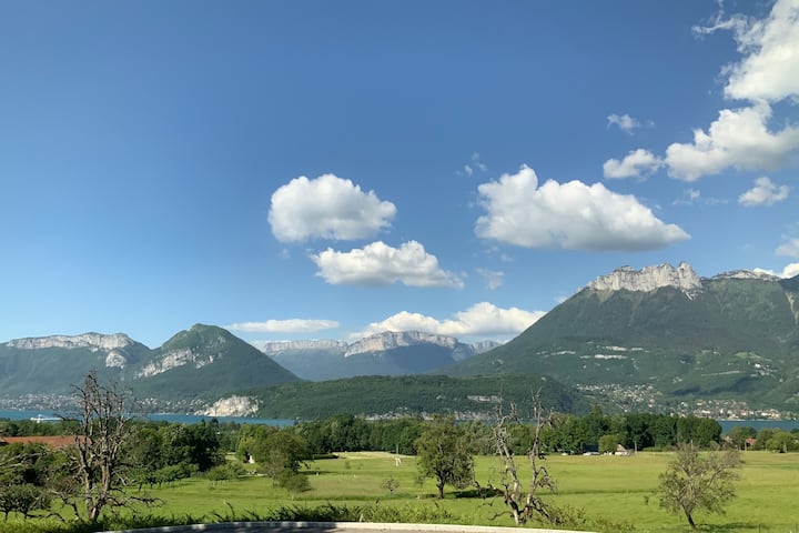 Lake Annecy - Calm & Spectacular View, Garden - Saint-Jorioz