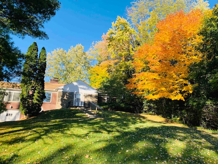 House On A Hill - Ann Arbor, MI