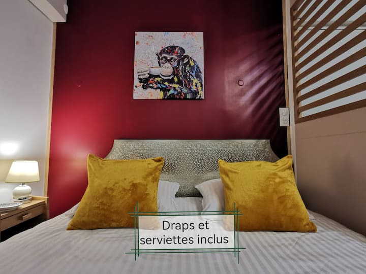 Charmant Studio Avec Sa Courette, Quimper Centre. - Quimper