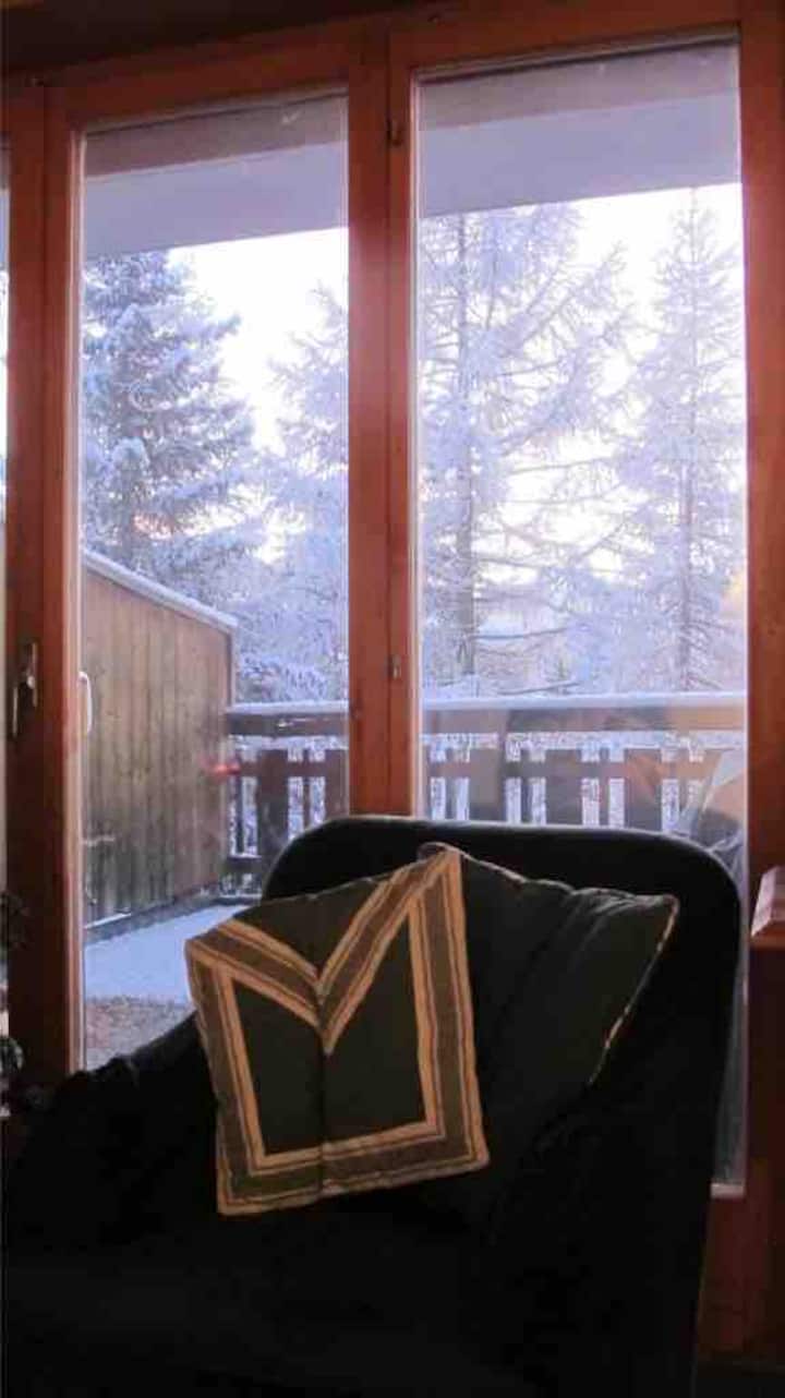 Alpine 2 Bedroom, 2 Bathroom Flat, Free Parking - Anzère