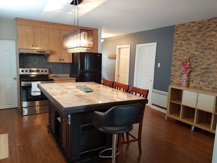 Moderne & Idéal Le Luxe Au Centre-ville Chicoutimi - Saguenay