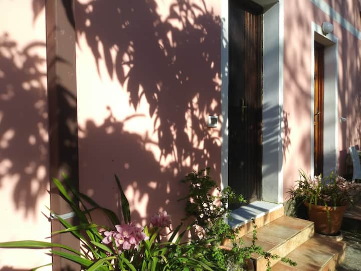 Heracle's Garden - Monterosso al Mare